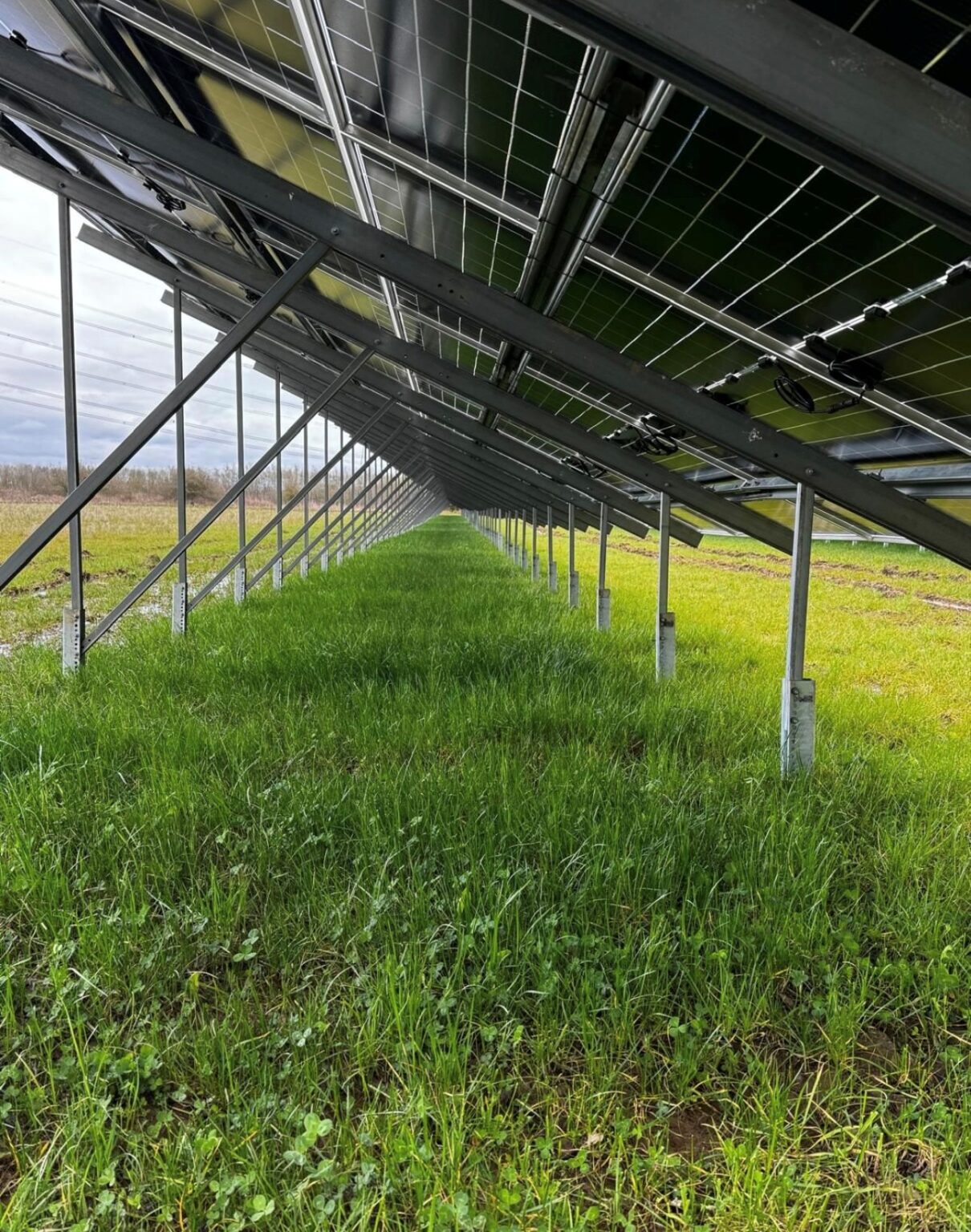 Sandburn Hall’s 800kW solar and storage project - Smart Ease